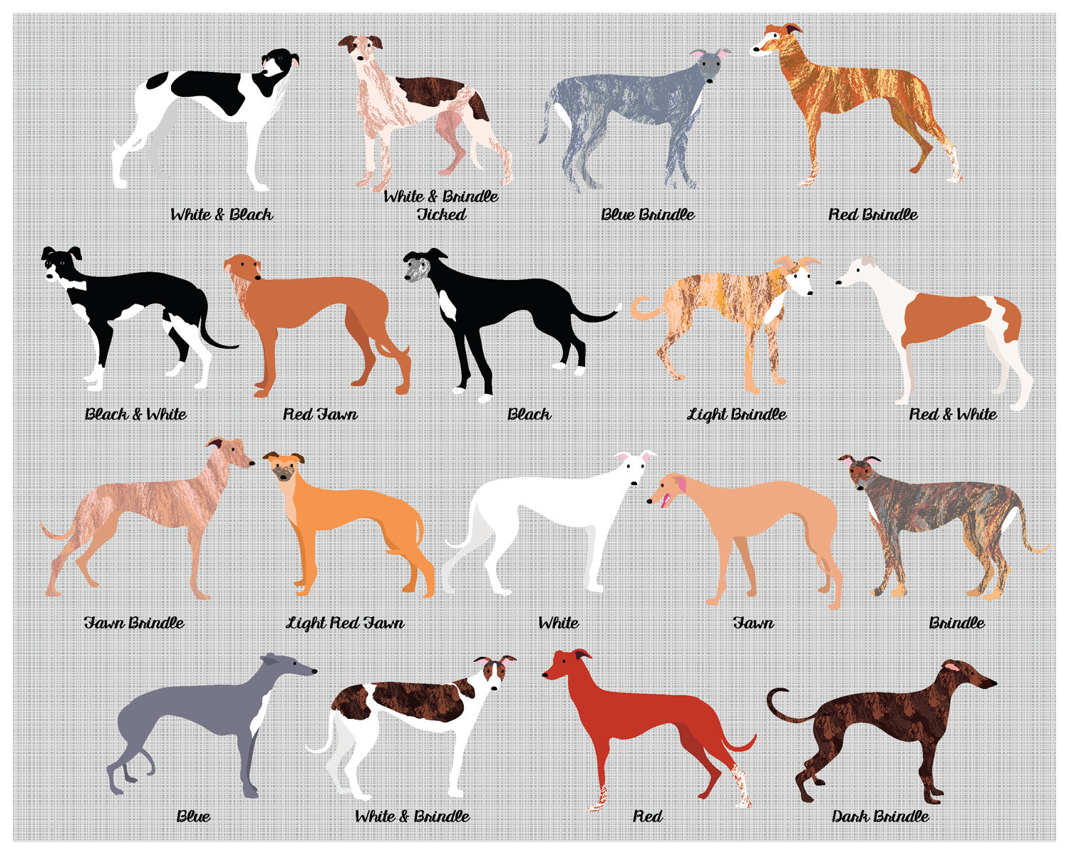 Greyhound Dog Art Print - Greyhound Chart Wall Art - Dog Lover Art ...