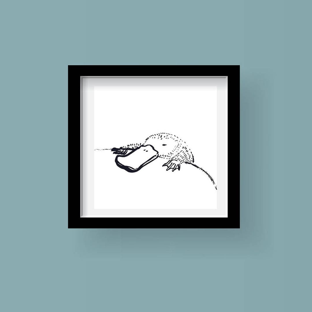 Platypus Art Print, Sleepy Platypus, Platypus Print, Platypus Art ...