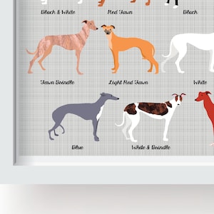 Greyhound Dog Art Print - Greyhound Chart Wall Art - Dog Lover Art ...