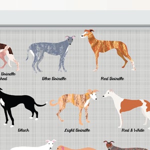 Greyhound Dog Art Print - Greyhound Chart Wall Art - Dog Lover Art ...