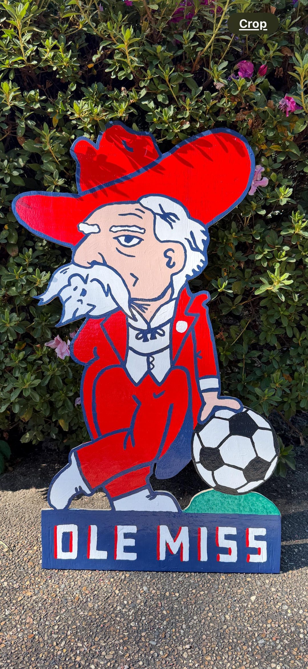 Ole Miss Rebels Colonel Reb sports Version Art Wood Sign Handcrafted ...