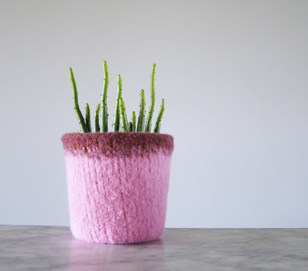 Wool Planter - Felted Cactus or Houseplant Planter - Plant Pot With ...
