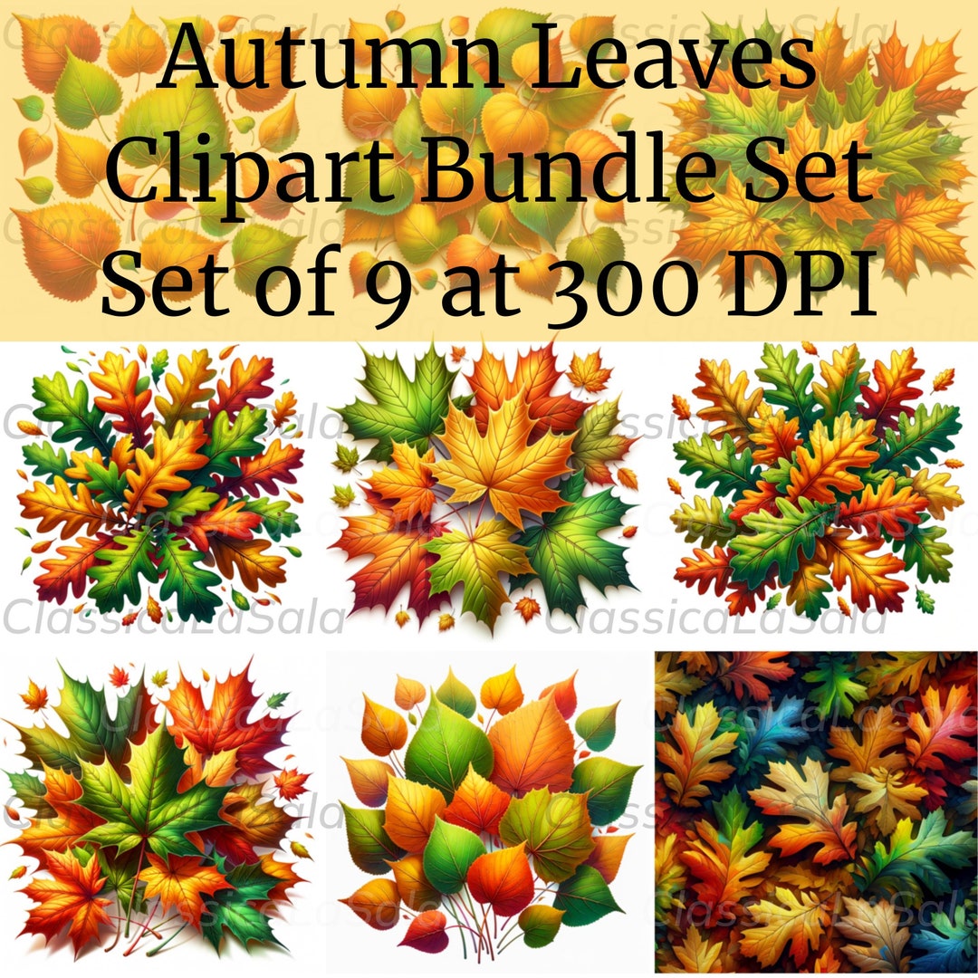 Autumn Leaf Clipart Bundle Set of 9 for Instant Download Sublimation ...