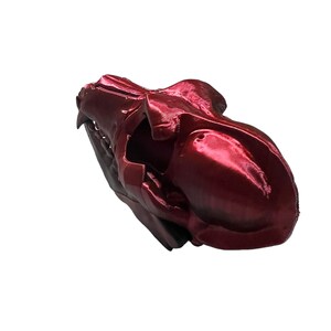 3D Articulated Fox Skull two Sizes - Etsy