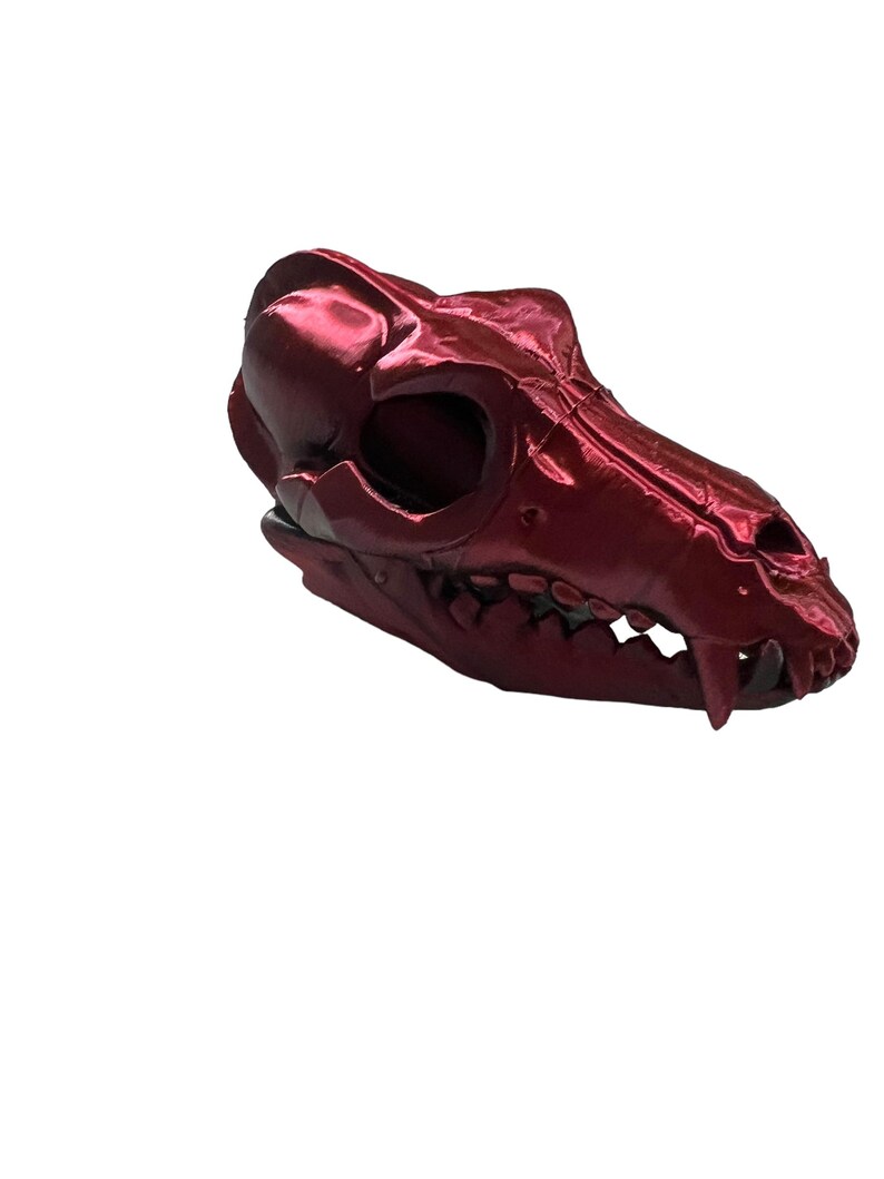 3D Articulated Fox Skull two Sizes - Etsy