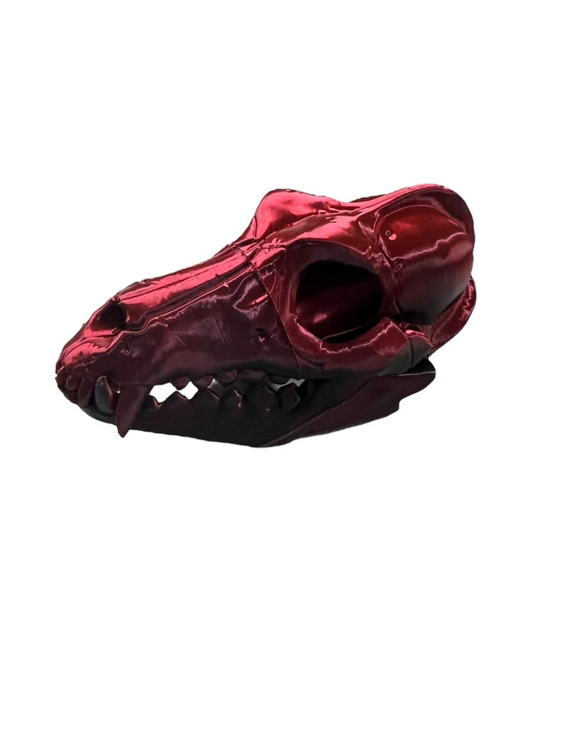 3D Articulated Fox Skull two Sizes - Etsy