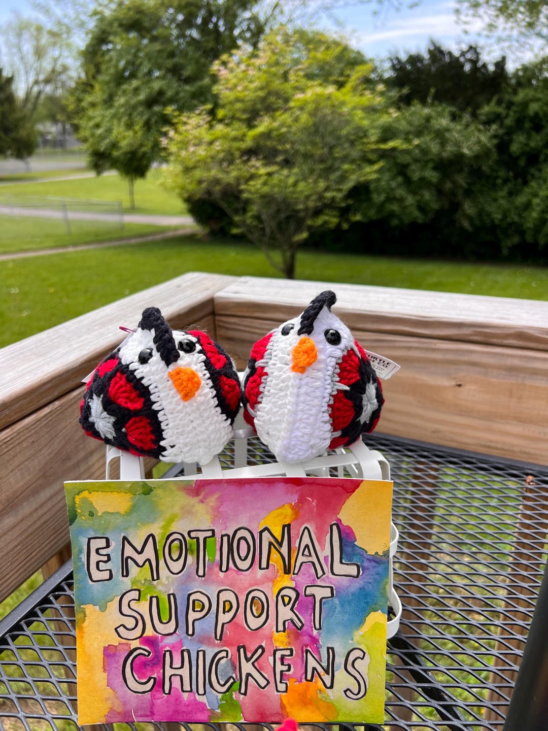 Emotional Support Granny Square Chickens - Etsy