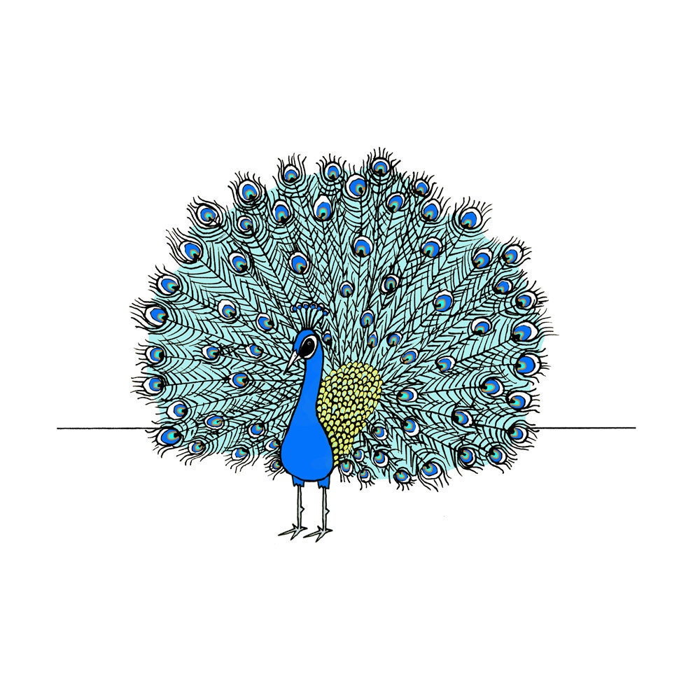 Drawing Of Dancing Peacock In Rain