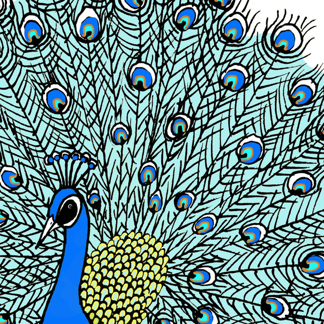 Peacock Print. Pen and Ink Peacock Drawing. - Etsy