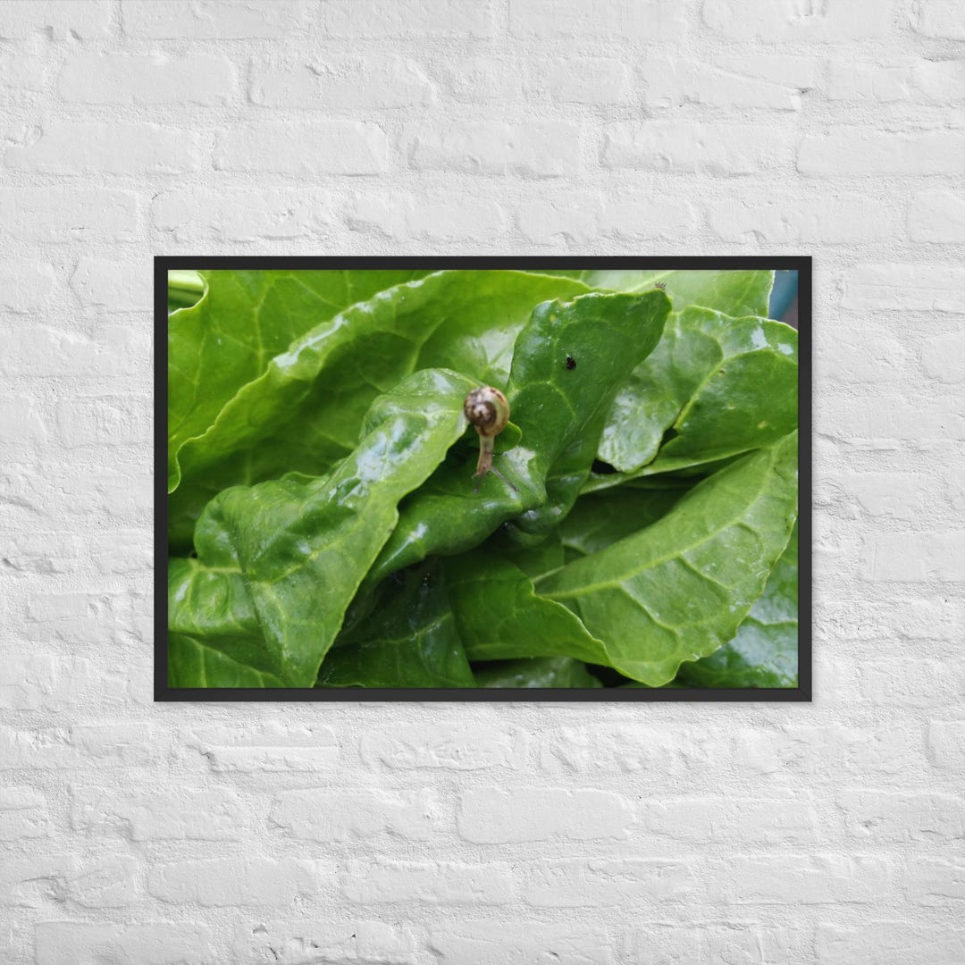 Poster With Frame - Etsy