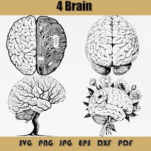 Brain Svg Bundle, Human Brain Svg,brain Clipart,mind Svg,floral Brain ...