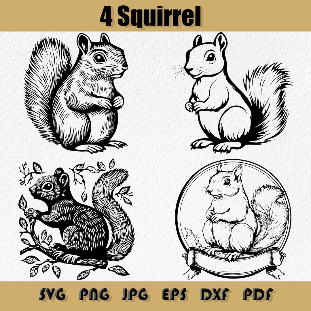 Squirrel SVG Bundle: Funny Clipart, Laser Engraving Files (digital ...