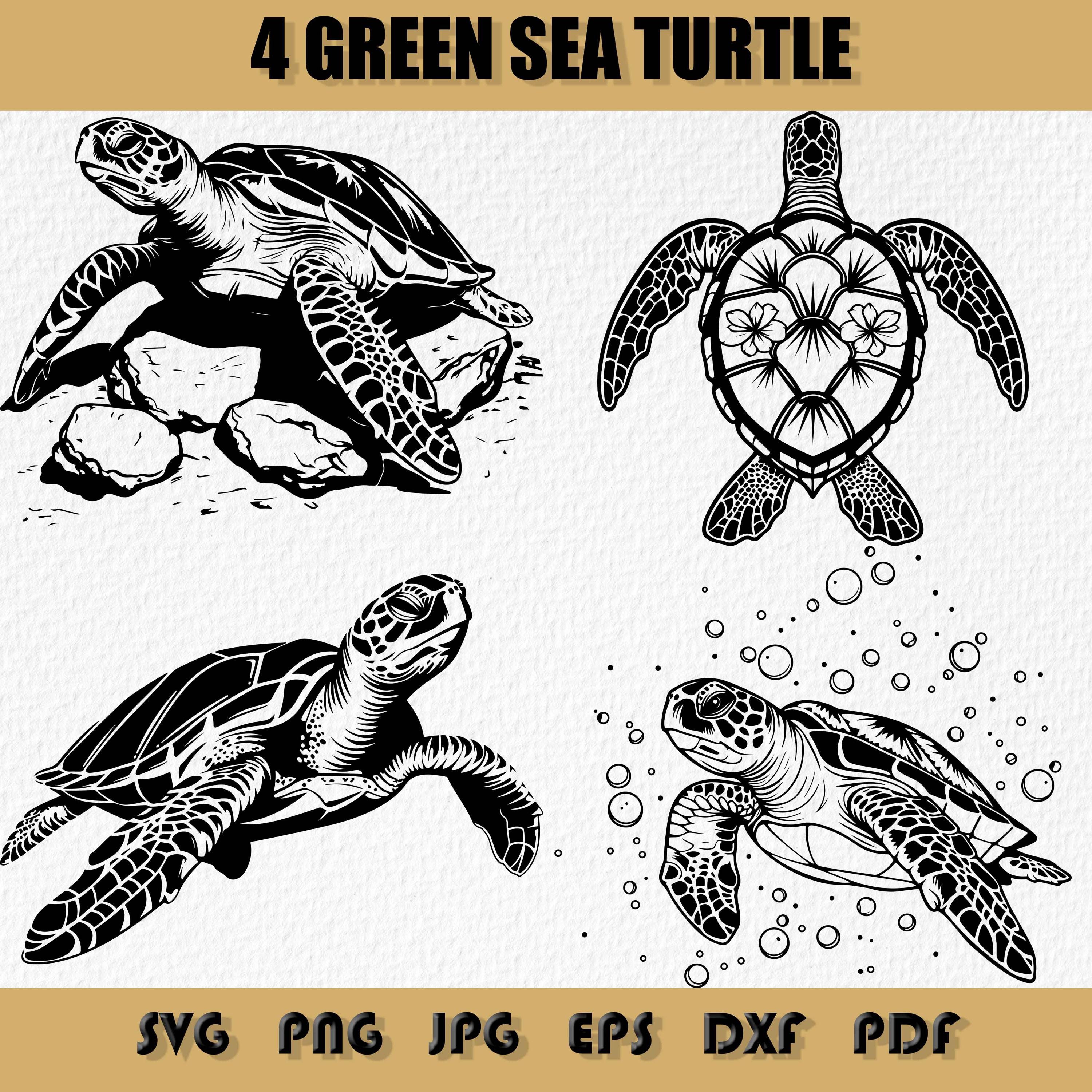 Green Sea Turtle Svg Bundle, Tortoise Png, Wild Animal Eps, Ocean Life ...