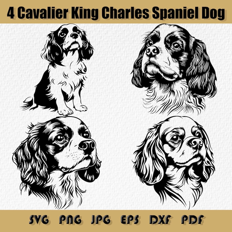 Cavalier King Charles Spaniel SVG Bundle: Dog Graphics (digital ...