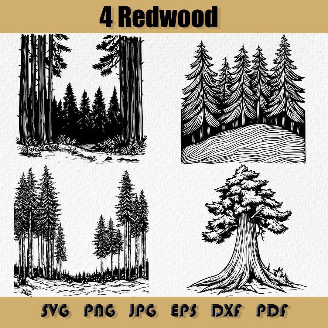 Redwood Svg Bundle, Trees Clipart, Redwood Tree Laser Engraving File ...