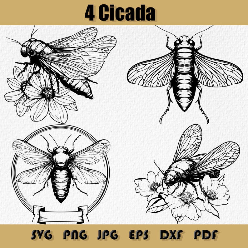 Cicada Svg Bundle, Cicadas Silhouette, Cicadas Clipart, Cicadas Outline ...