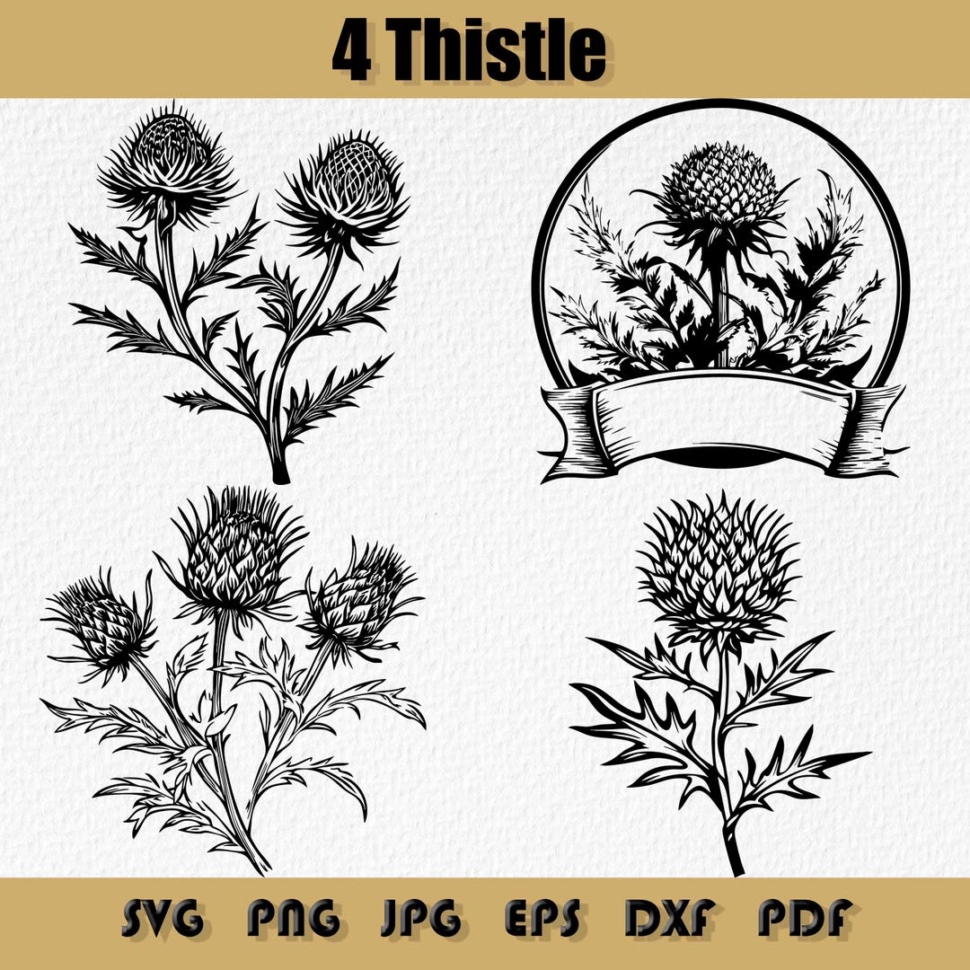 Thistle SVG Bundle: Scottish Wildflower Clipart, Vector Graphics ...