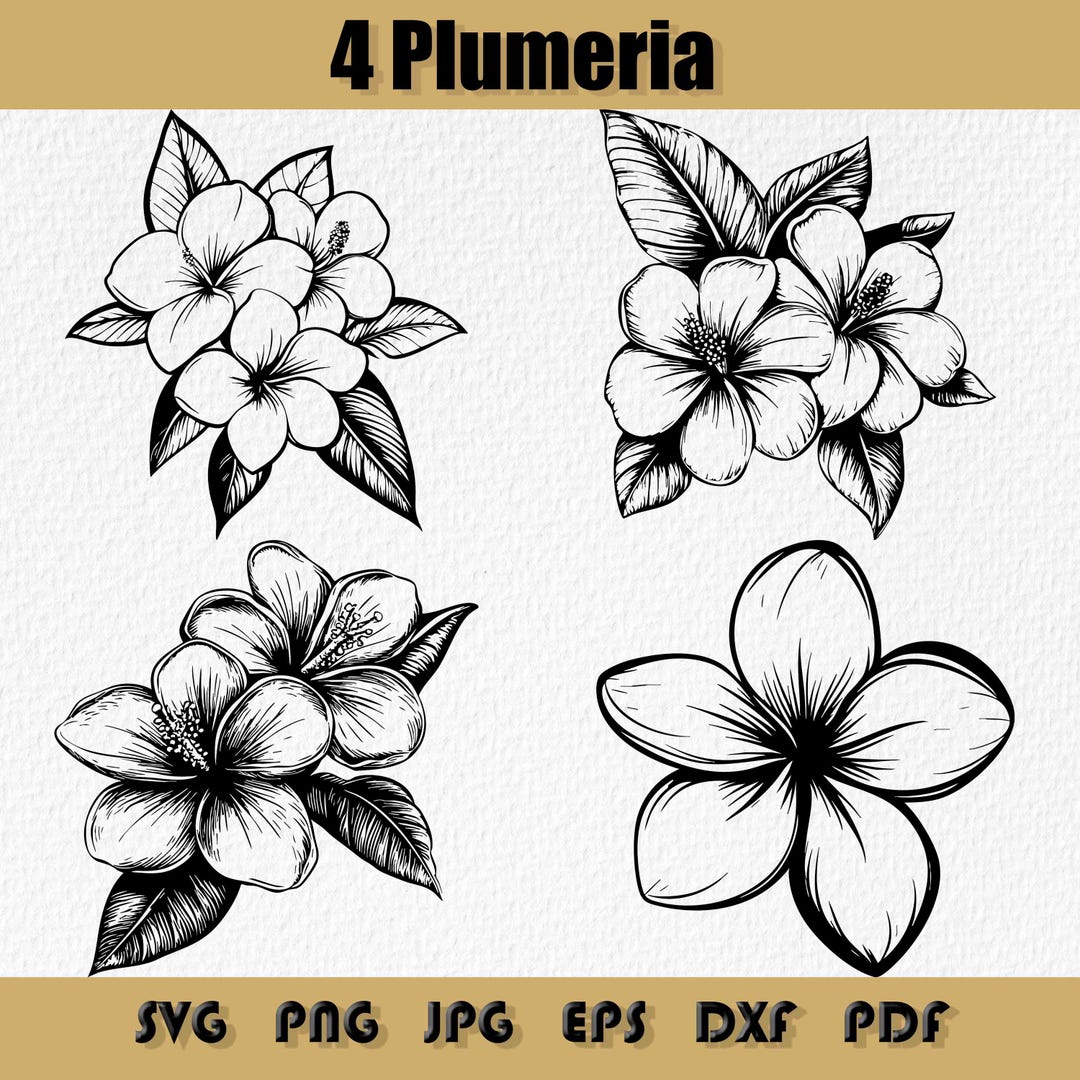 Plumeria Flower SVG Bundle: Frangipani Outline, Wedding Illustration ...