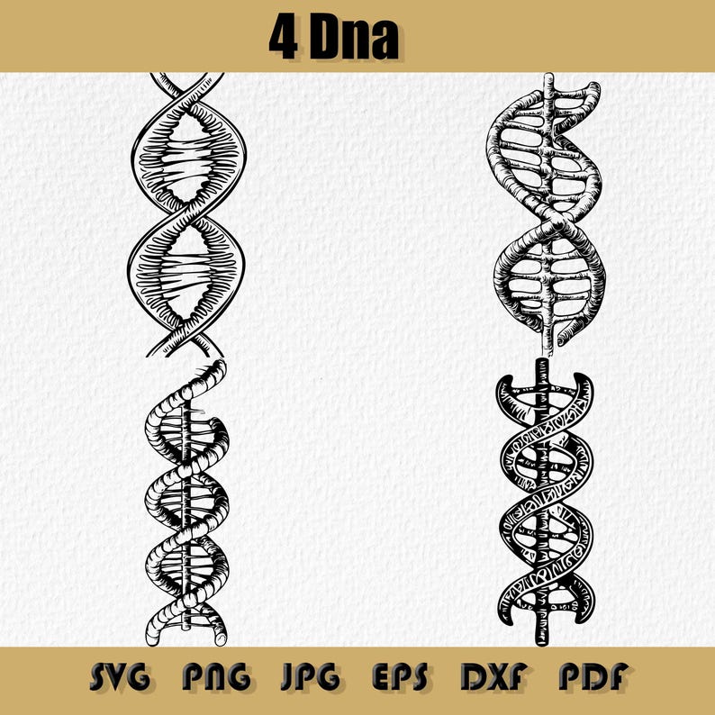 Dna Svg Bundle, Dna Silhouette,dna Strand Svg, Double Helix DNA Png,structure Silhouette ...