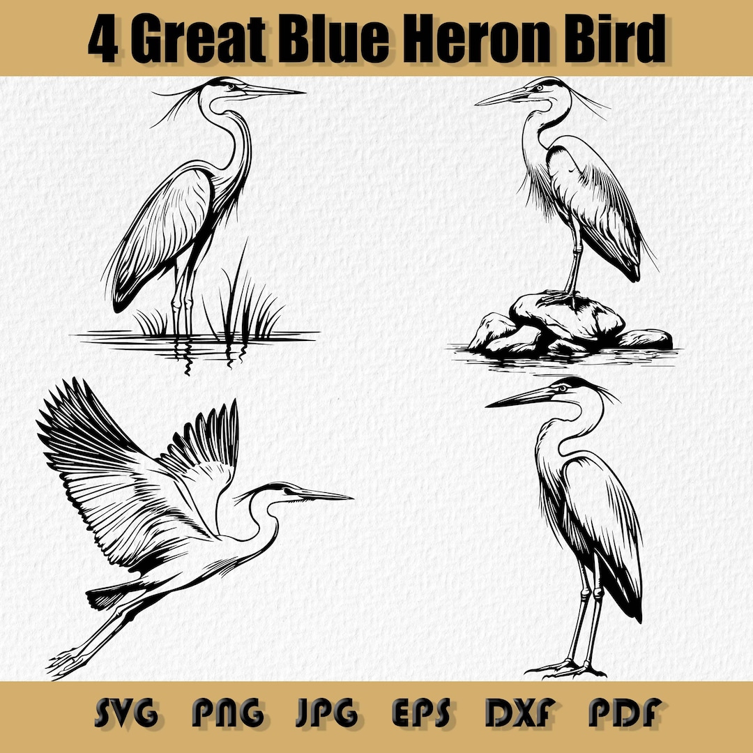Blue Heron SVG Bundle, Elegant Bird Clipart (digital Download) - Etsy