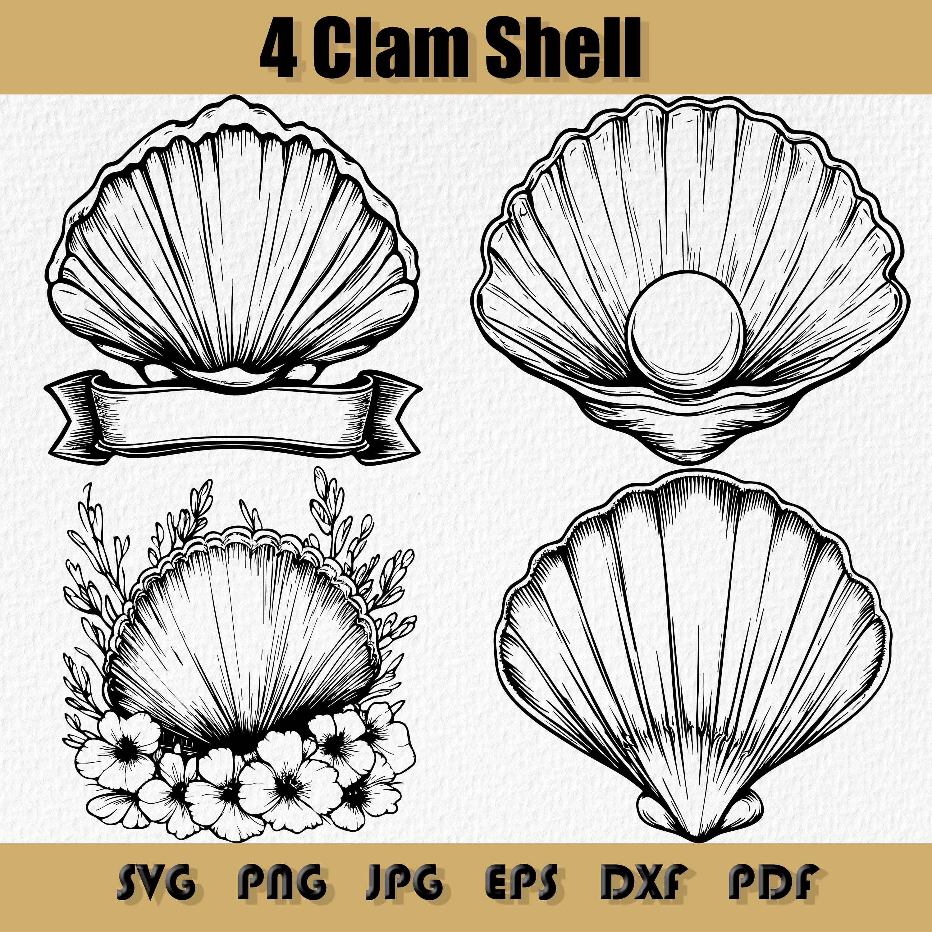 Clam Shell Svg Bundle,png,seashell Svg,seashell Cricut, Seashell ...