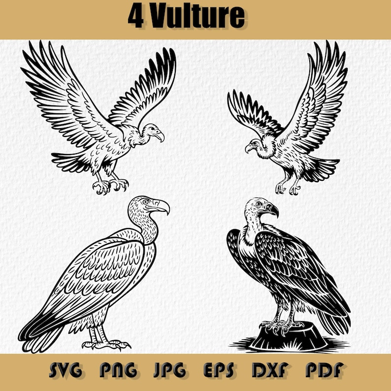 Vulture Svg Bundle,png,vulture Clipart,vulture PNG Files,vulture ...
