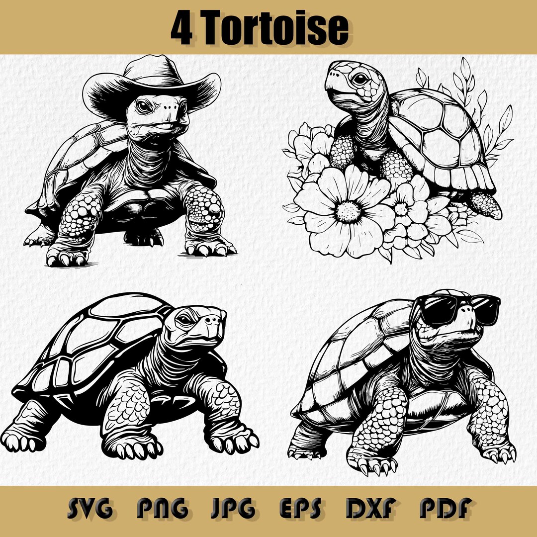 Tortoise Svg Bundle,tortoise Dxf, Tortoise Png, Tortoise Vector ...