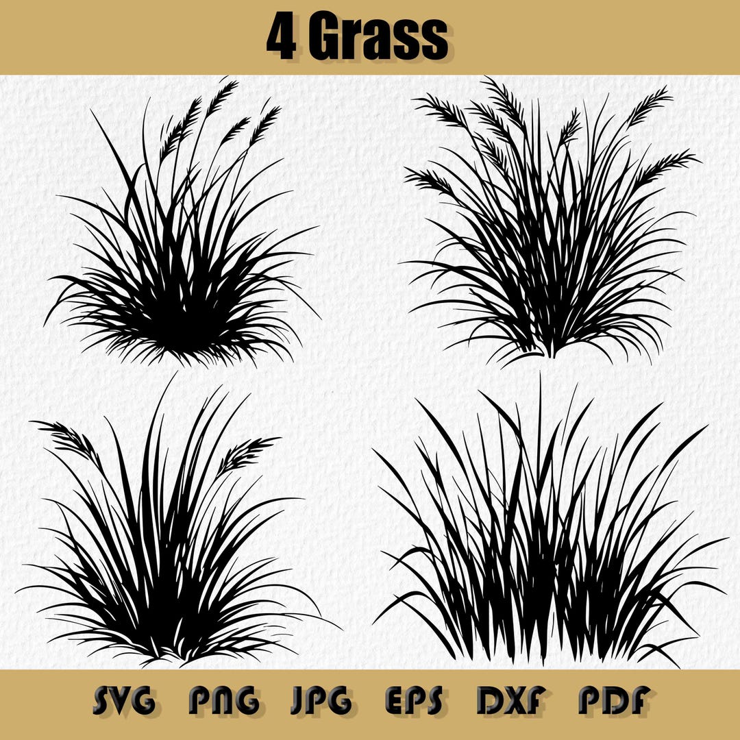 Grass Svg Bundle ,pampass Grass Svg, Grass Silhouette, Botanical Grass ...