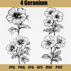 Geranium Svg Bundle,png, Floral Clipart Set, Botanical Flower Png ...