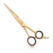 Hairdressing Barber Shears Stainless Steel Grooming Hair Cut Scissors 6 ...