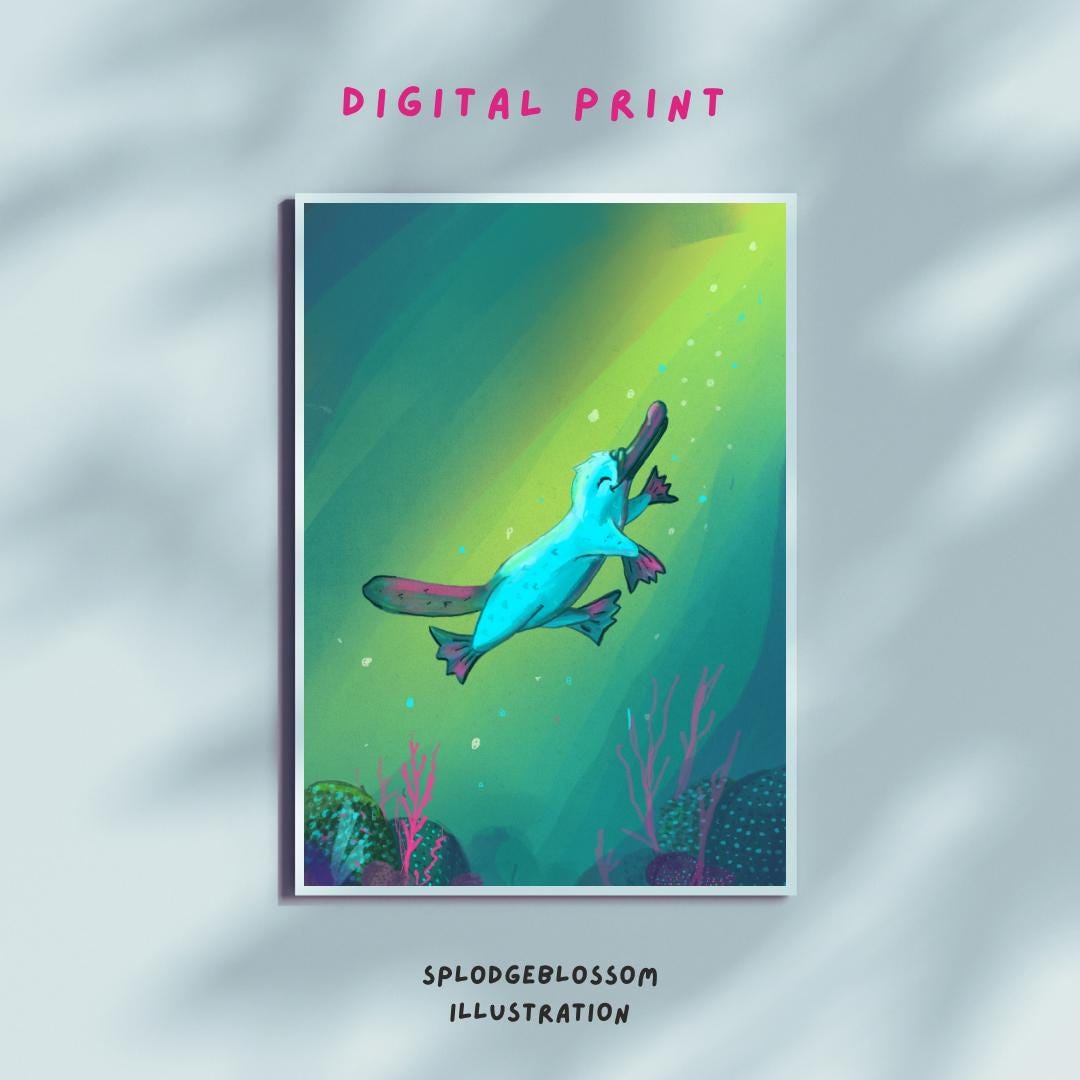 Silly Swimming Platypus! Wildlife Art Print, Digital Download - Etsy