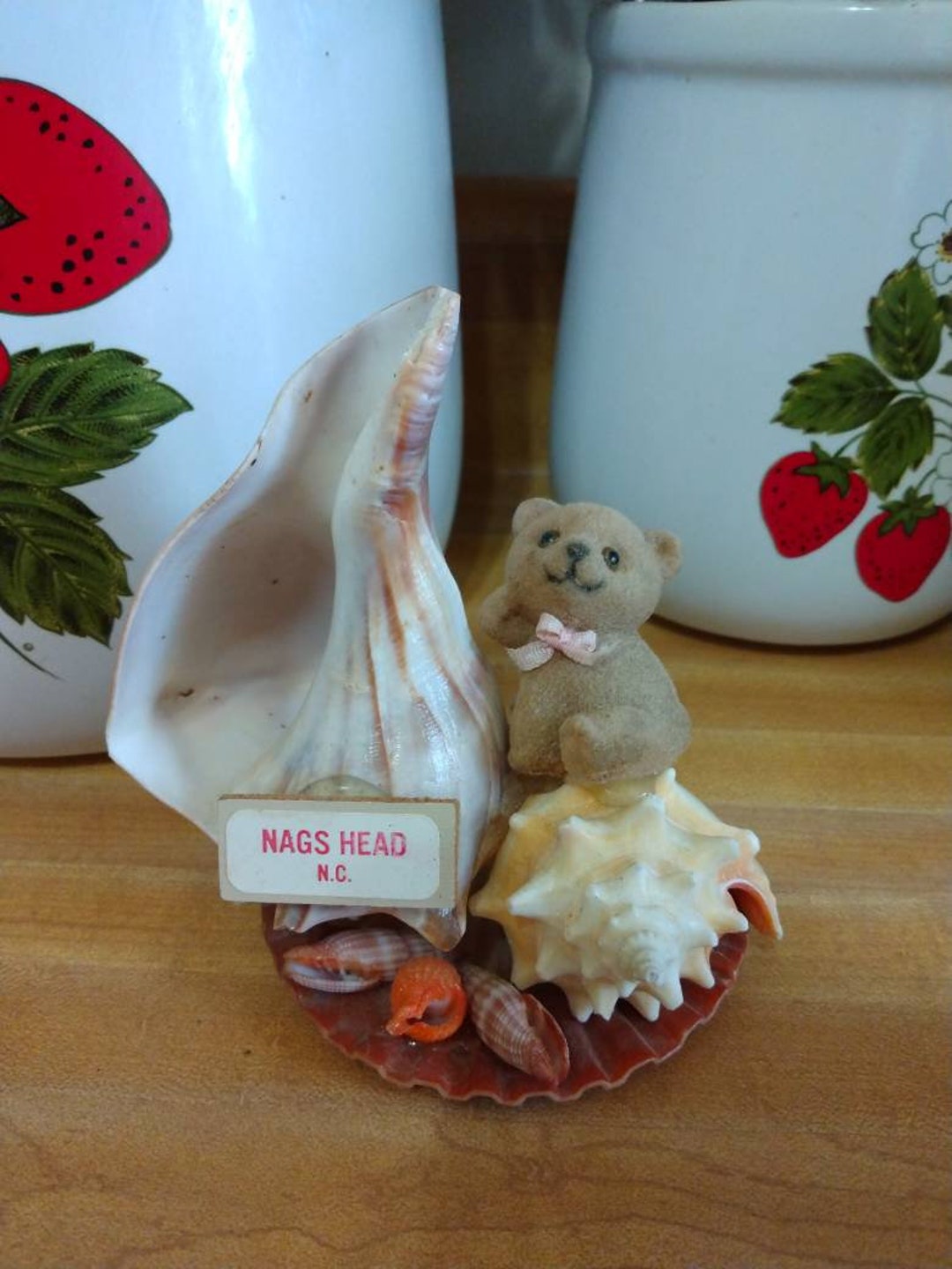 Vintage Seashell Diorama Abalone Coral Scallop Conch Teddy Bear Pink ...