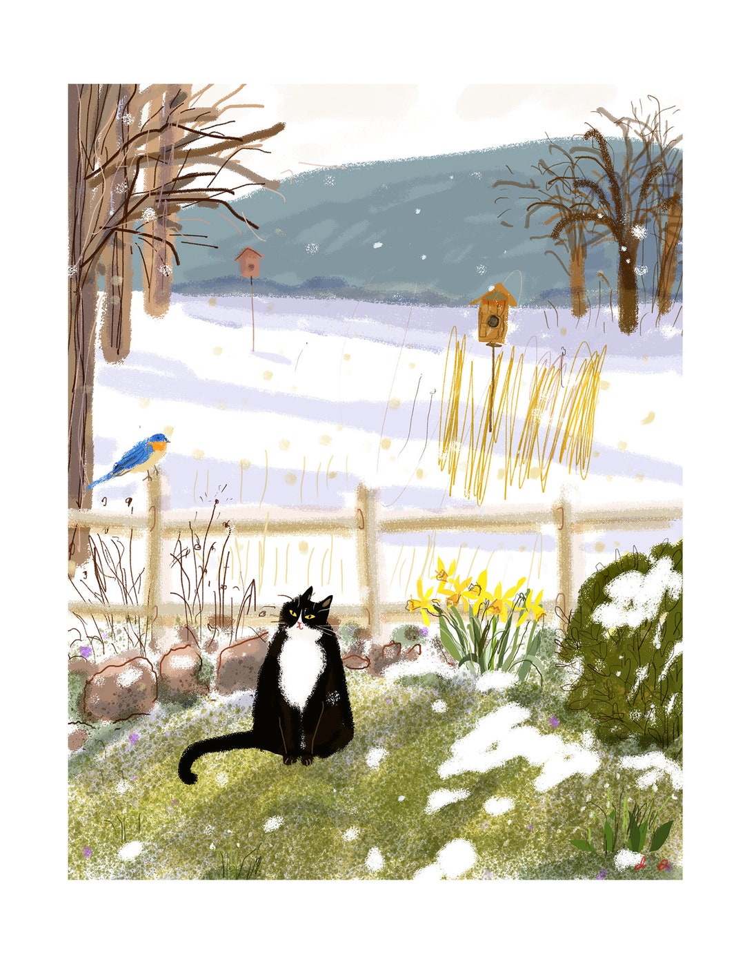 Country Cat March - Fine Art Print - Garden Cat - Spring Garden - Etsy
