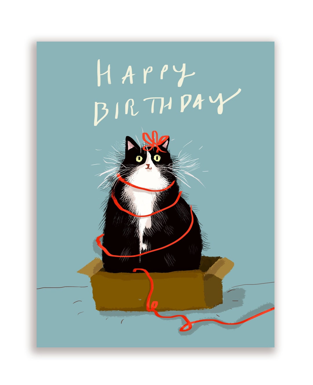 Funny Birthday Card – Tuxedo Cat in Box Illustration, Cat Lover ...
