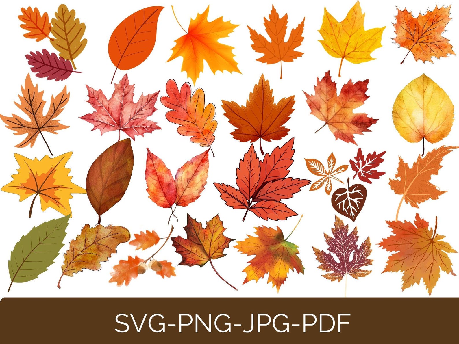 Fall Leaves Svg, Fall Svg, Fall Leaf Svg Bundle, Fall Png, Dxf, Clipart ...