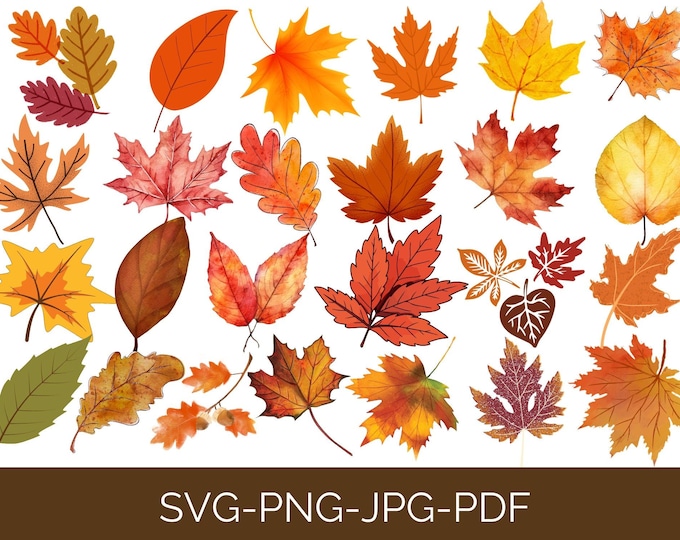 Fall Leaves Svg, Fall Svg, Fall Leaf Svg Bundle, Fall Png, Dxf, Clipart ...
