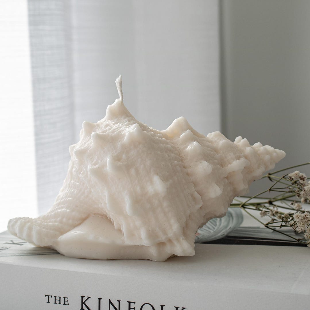 Conch Shell Candle | Beach House Accent | Coastal Coffee Table Candle ...