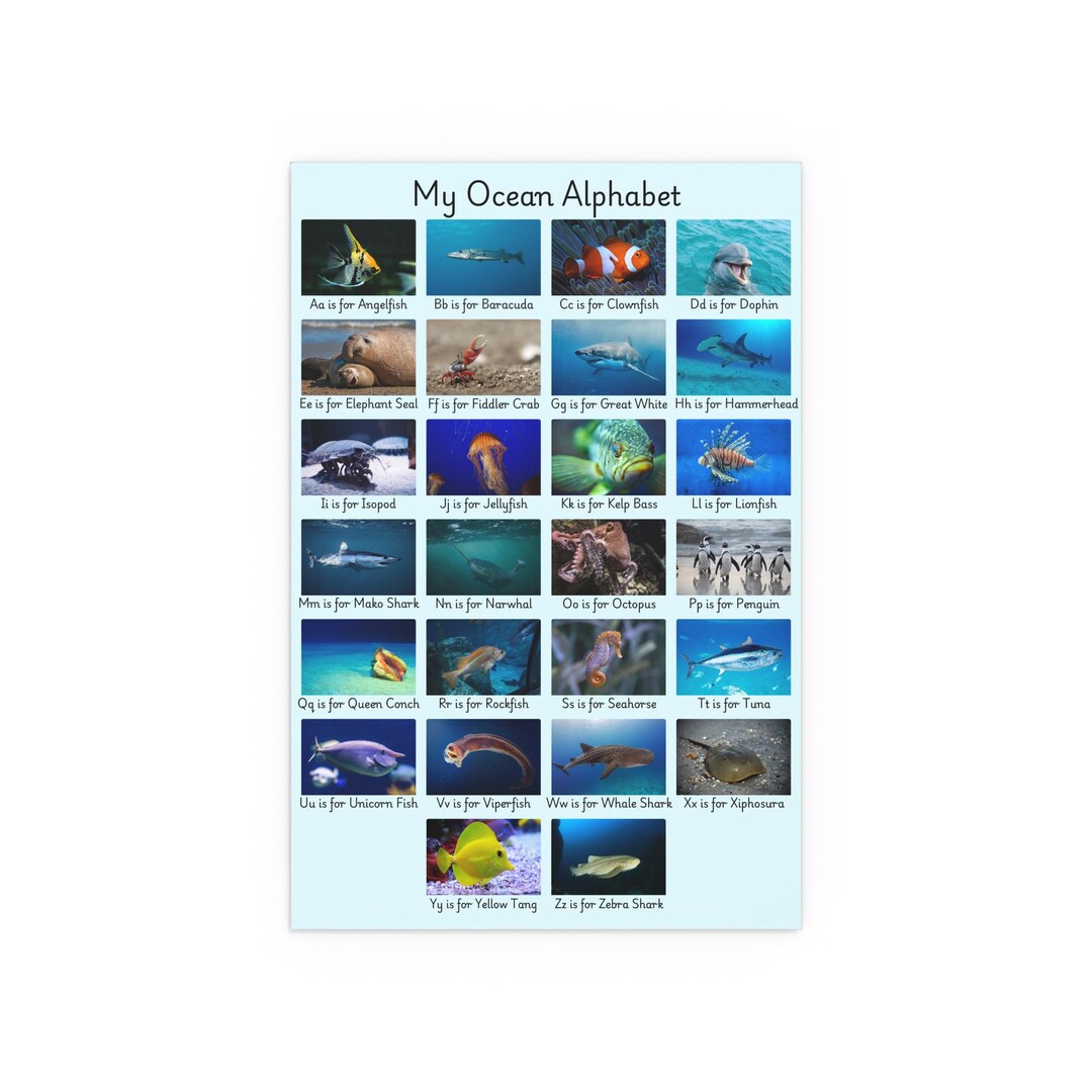 Digital Download Poster Ocean Alphabet With 26 Marine Animals With High ...