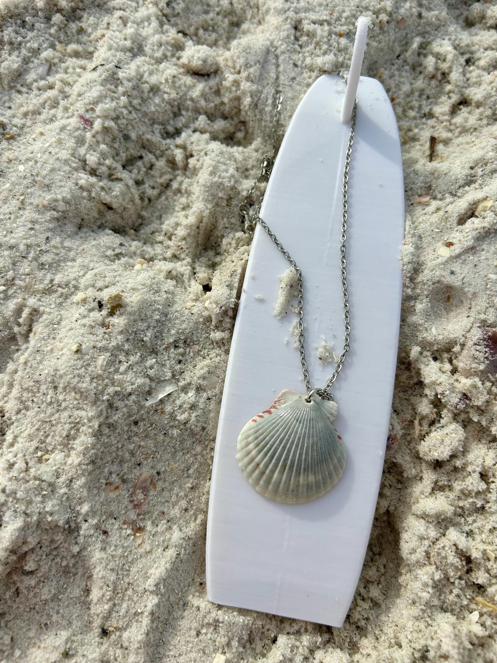 Seashell Necklace Beach Jewelry Gulf Coast Real Scallop Shell Custom ...