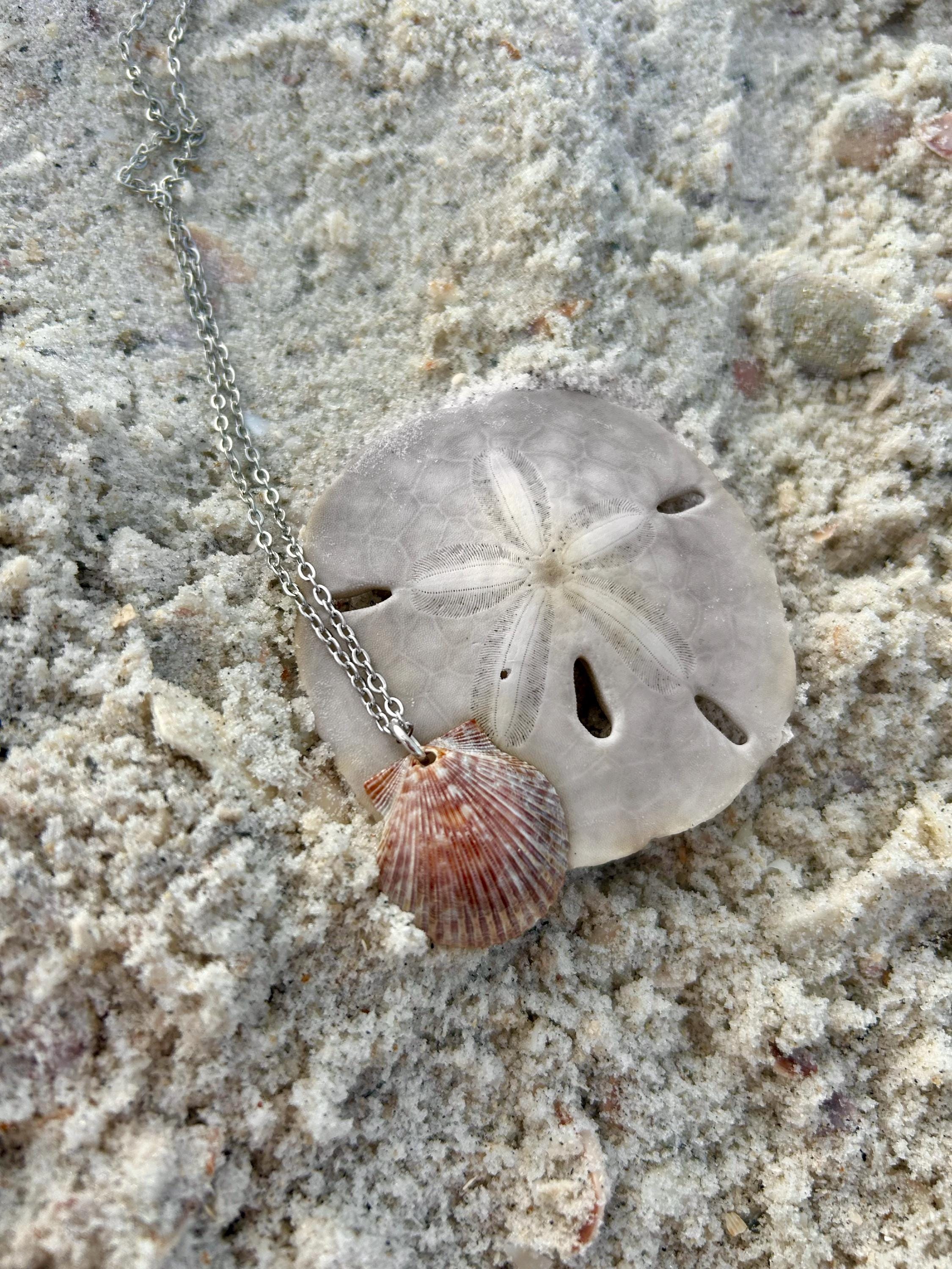 Seashell Necklace Beach Jewelry Gulf Coast Real Scallop Shell Custom ...