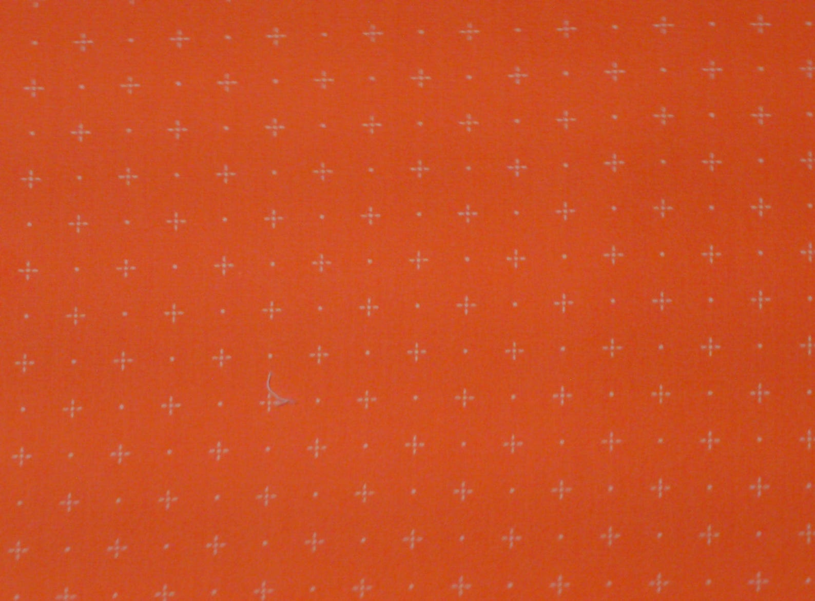 Starry Orange You, Dew and Moss, by Art Gallery Fabrics - Etsy