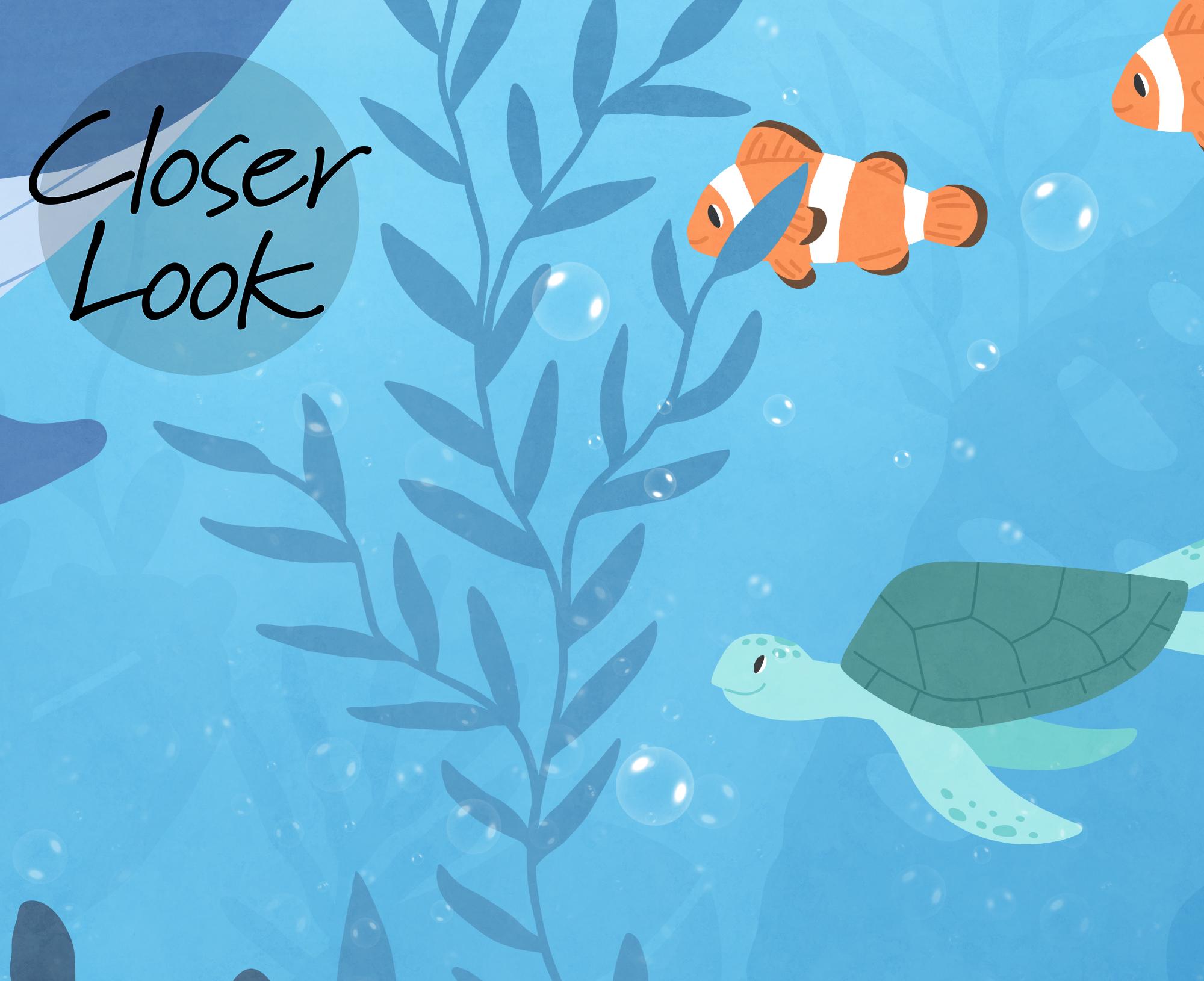 Kids Ocean Animals and Coral Reef Wallpaper | Cute Marine Animals and ...