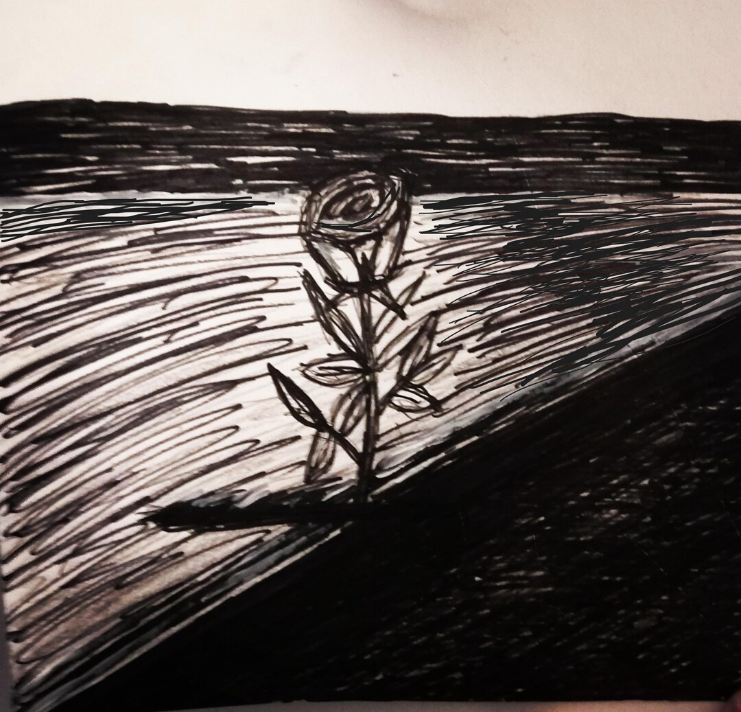 Rose Crossing Asphalt or Concrete, Black and White Landscape, Comic ...