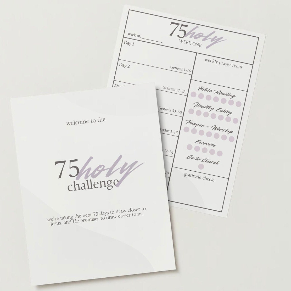 75 Holy Challenge- Devotional Habit Tracker, 75 Day Bible Reading Plan ...