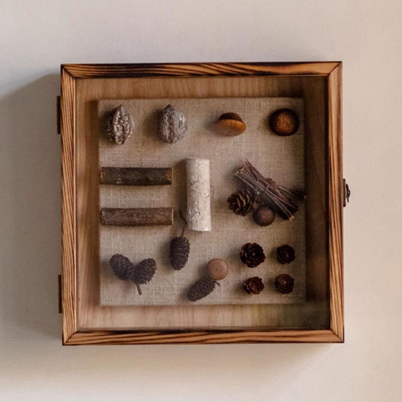 Handcrafted Solid Wood Shadow Box Frame | 3D Specimen Frame | Insect ...
