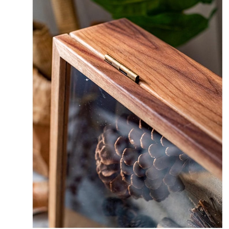 Handcrafted Solid Wood Shadow Box Frame | 3D Specimen Frame | Insect ...