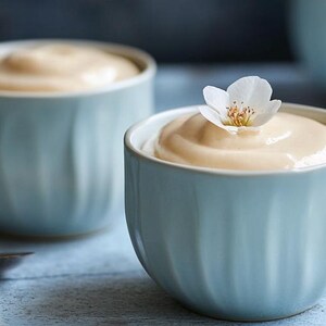 The Ultimate Guide to Pudding Digital Guide With Recipes, Printable PDF ...