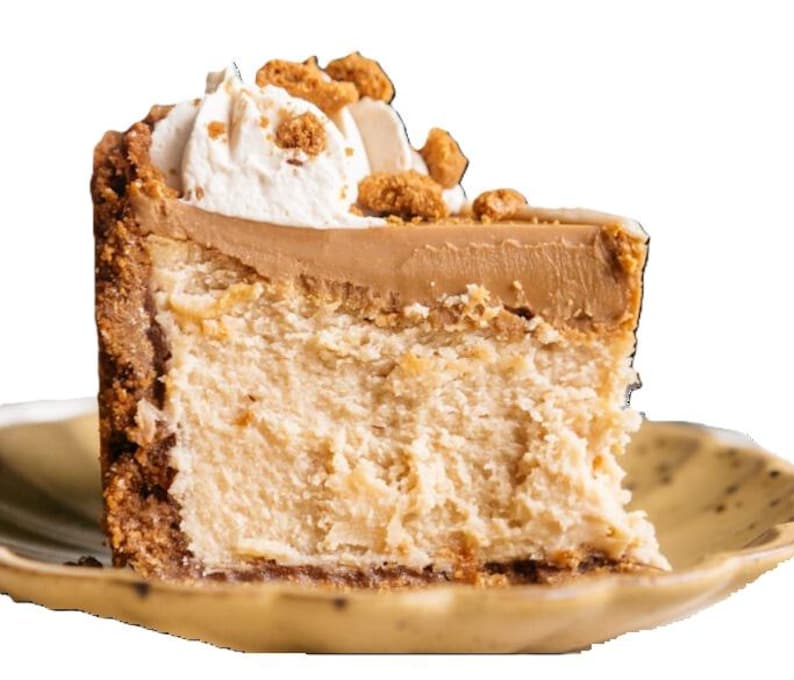 Cookie Butter Cheesecake Digital Recipe | Easy Printable PDF Dessert ...