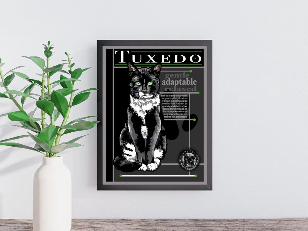 Tuxedo Cat Art Print: Matte Gallery Wall Poster - Etsy