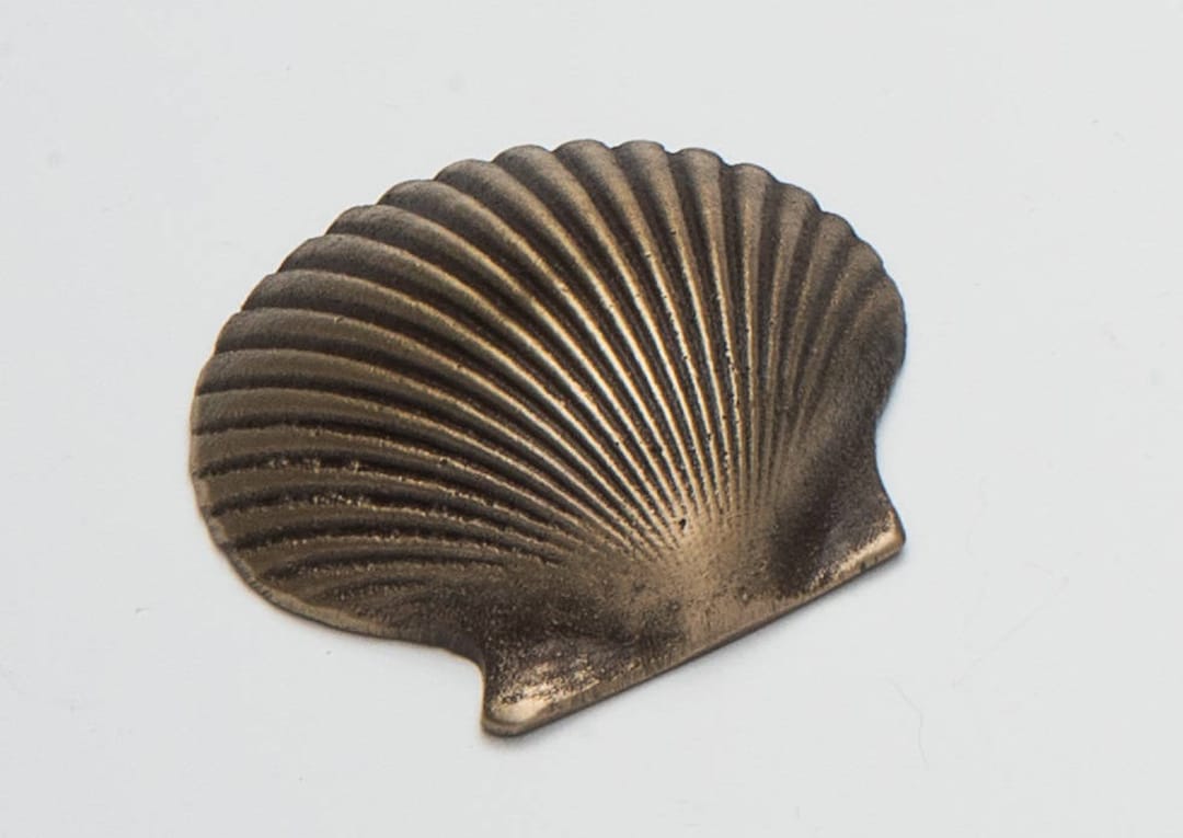 Scallop Shell - Item #730 - Cast Bronze - Etsy